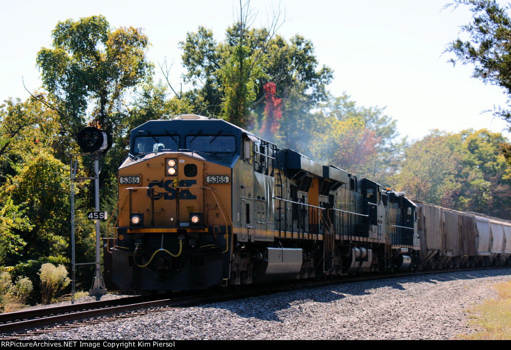 CSX 5365 Q438